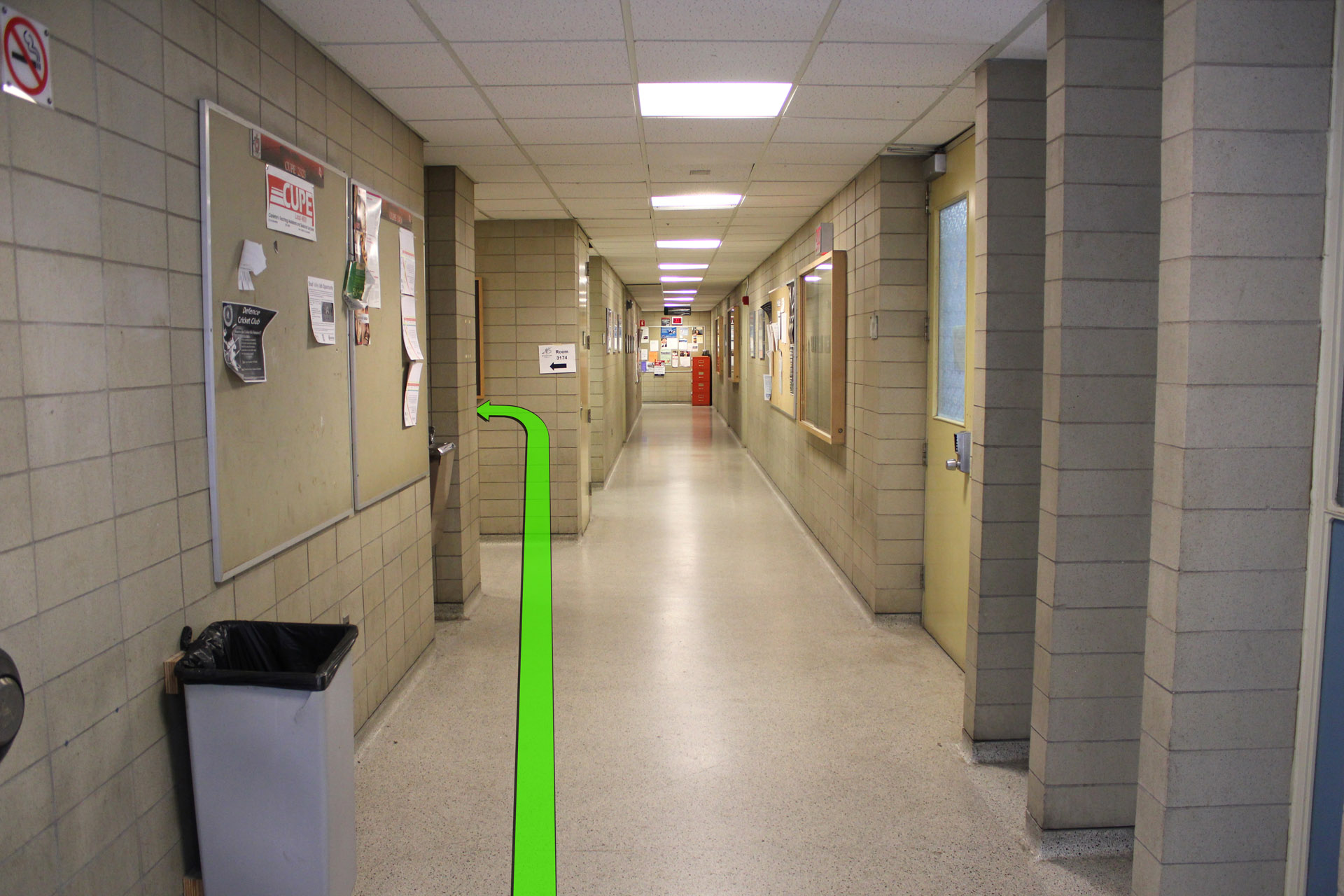 Mackenzie Engineering - 3165