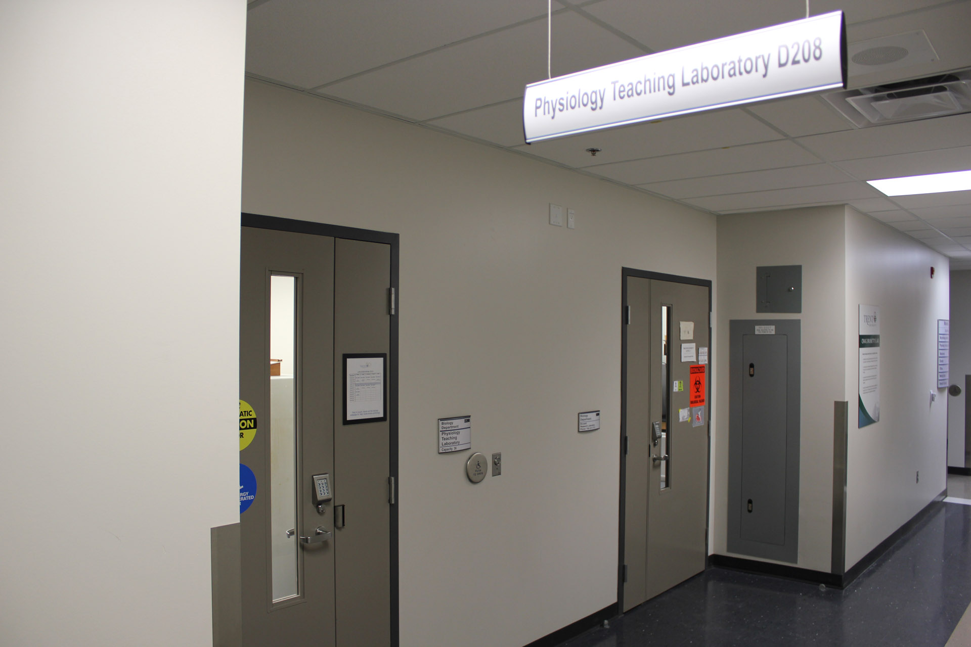 DNA Building - DNA D208