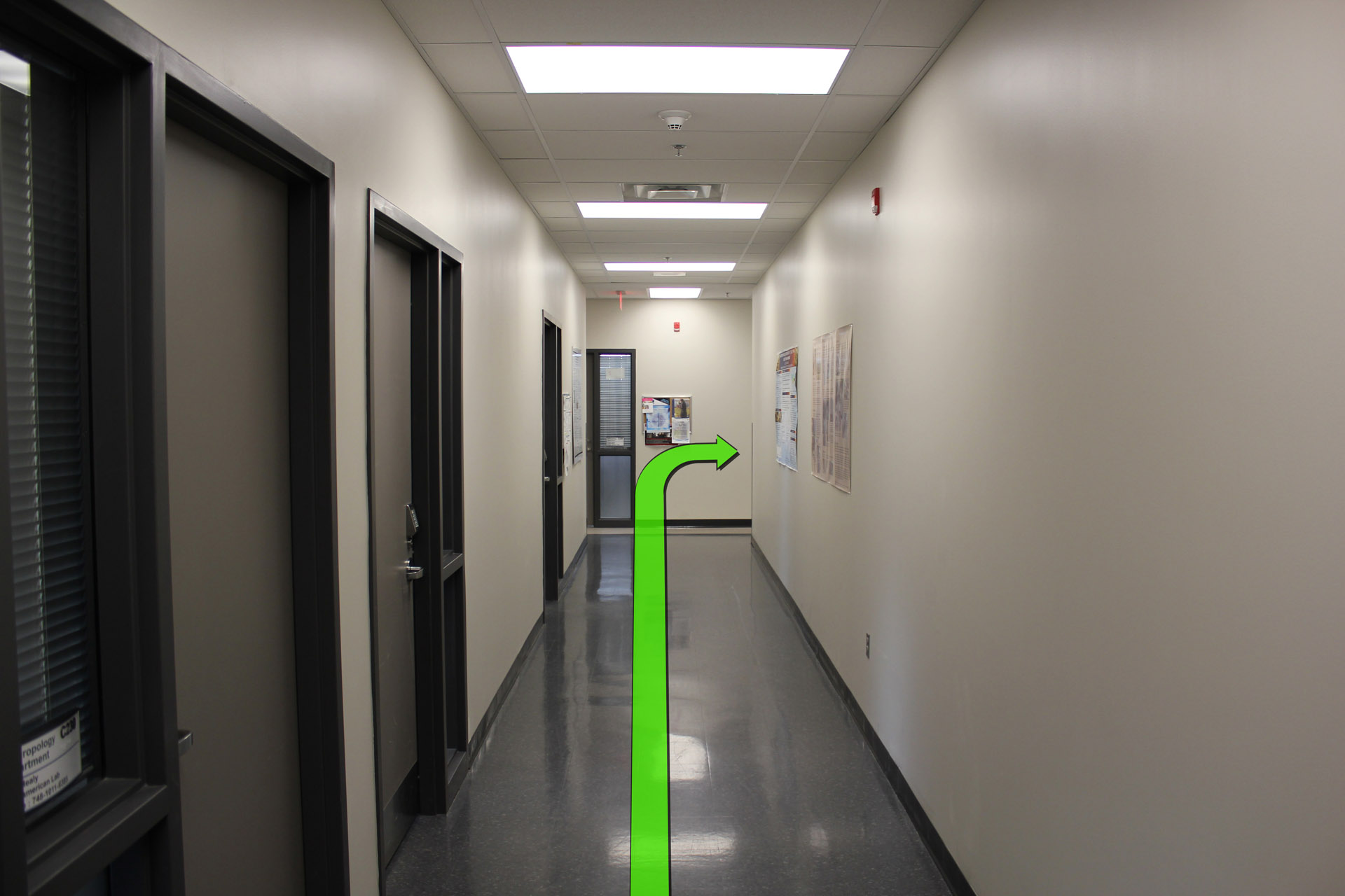 DNA Building - DNA C215