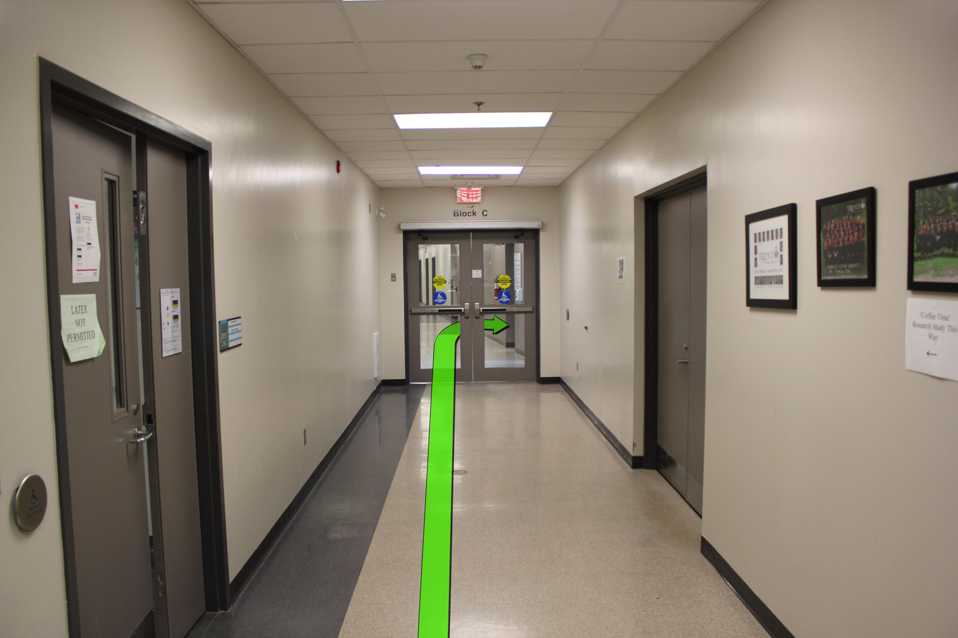 DNA Building - DNA C233