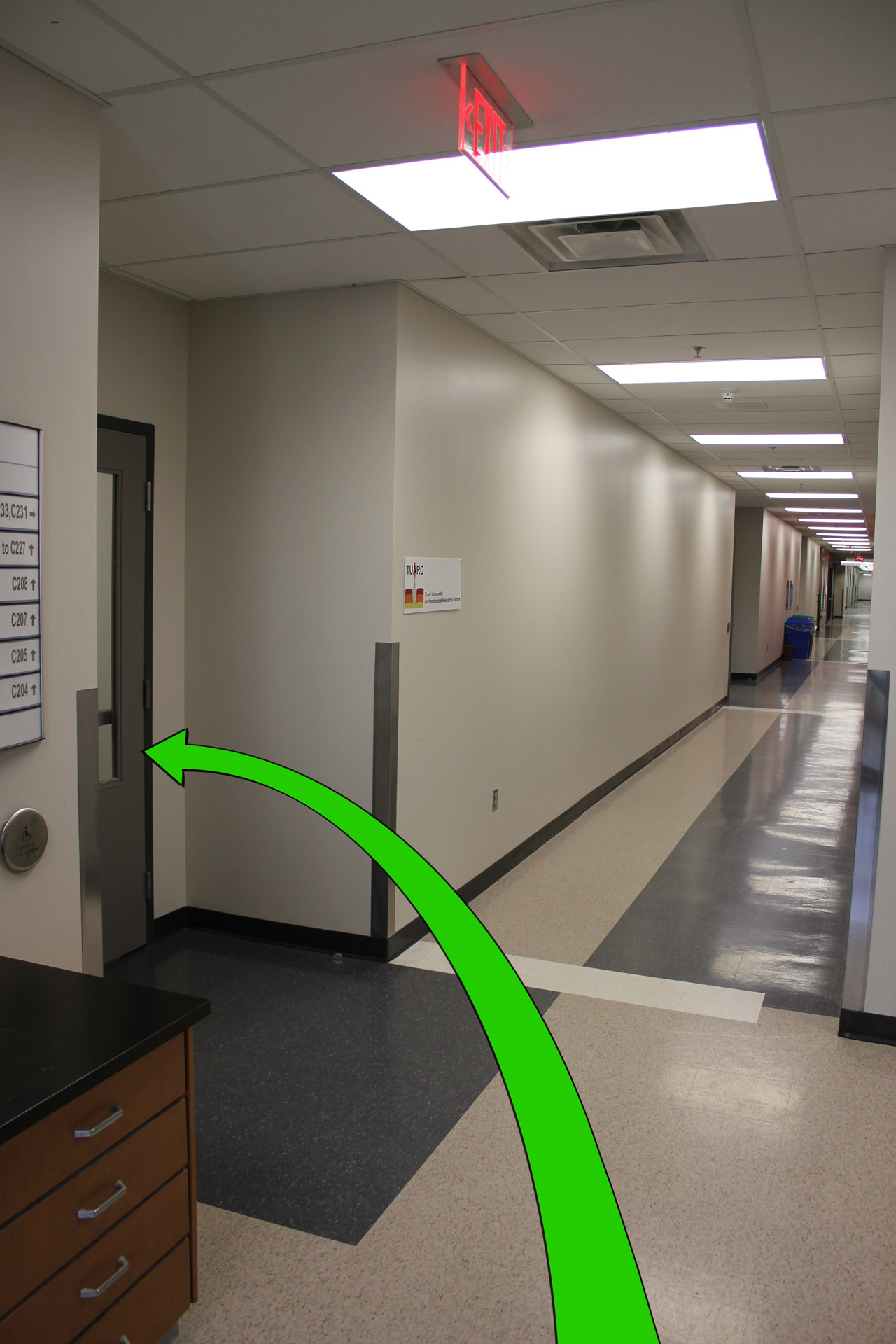 DNA Building - DNA C215