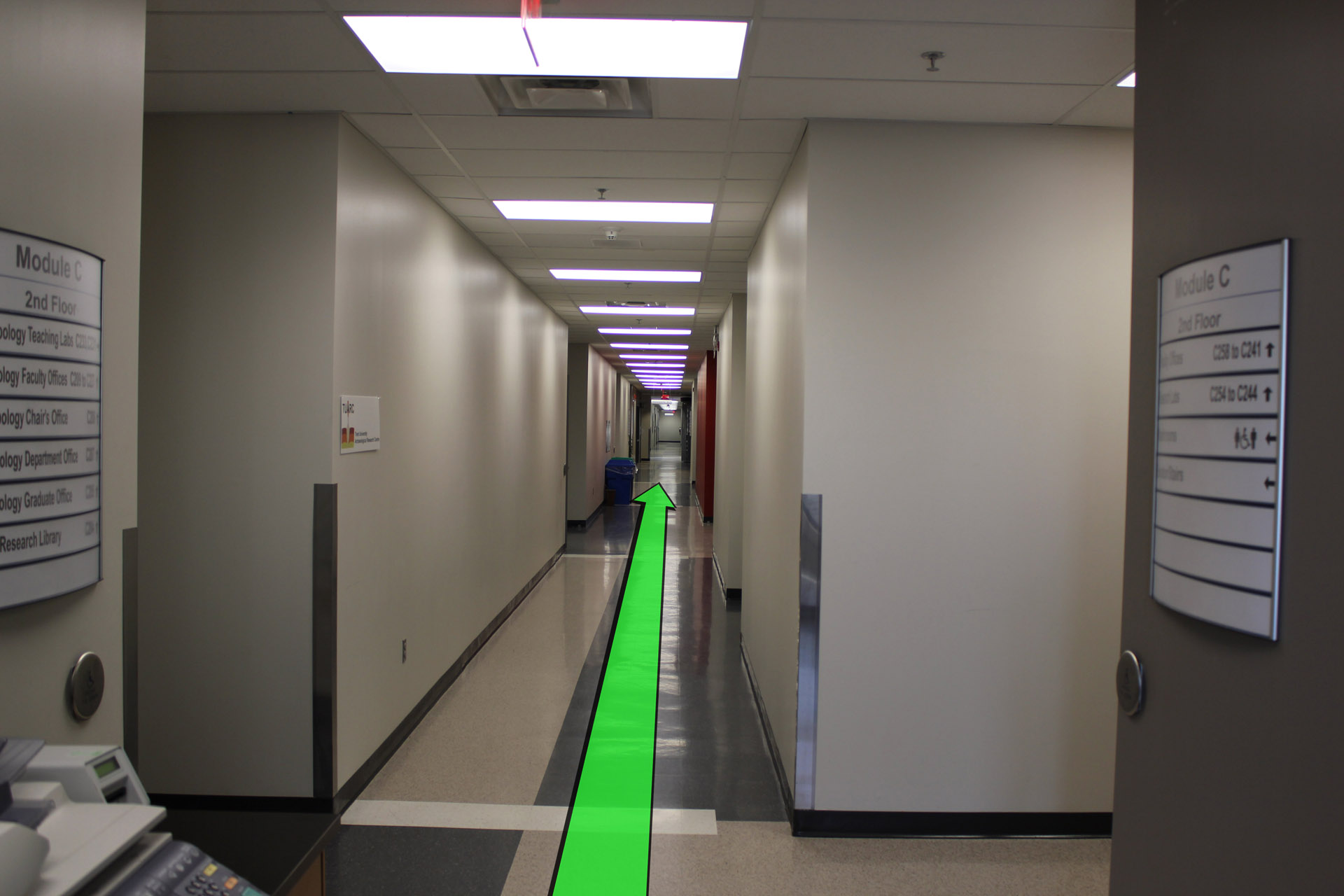 DNA Building - DNA C233