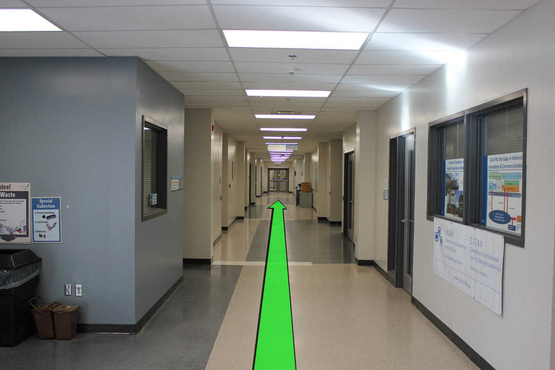 DNA Building - DNA C141